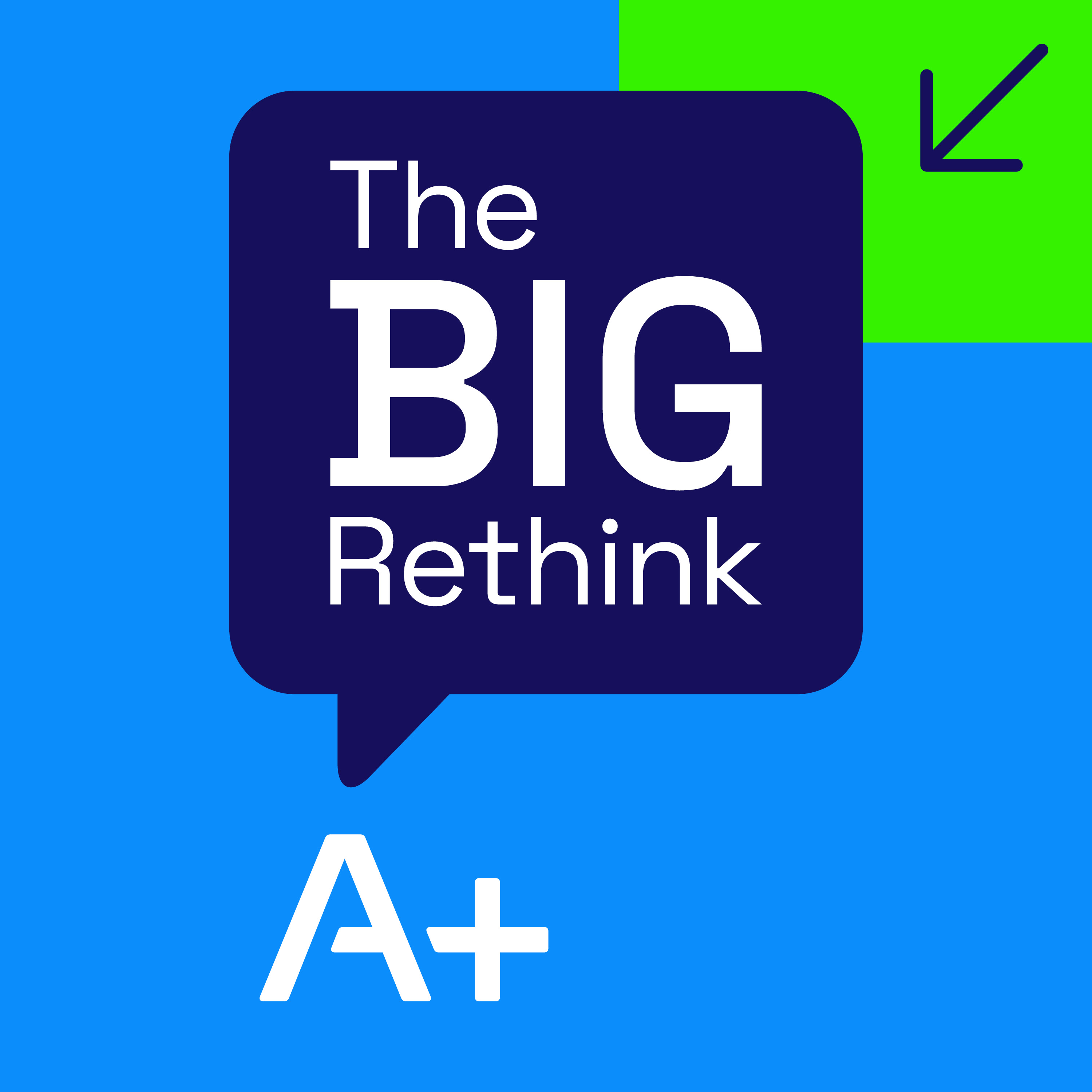Episode 4 - Sustainability - AirPlus - The BIG Rethink - Podcast