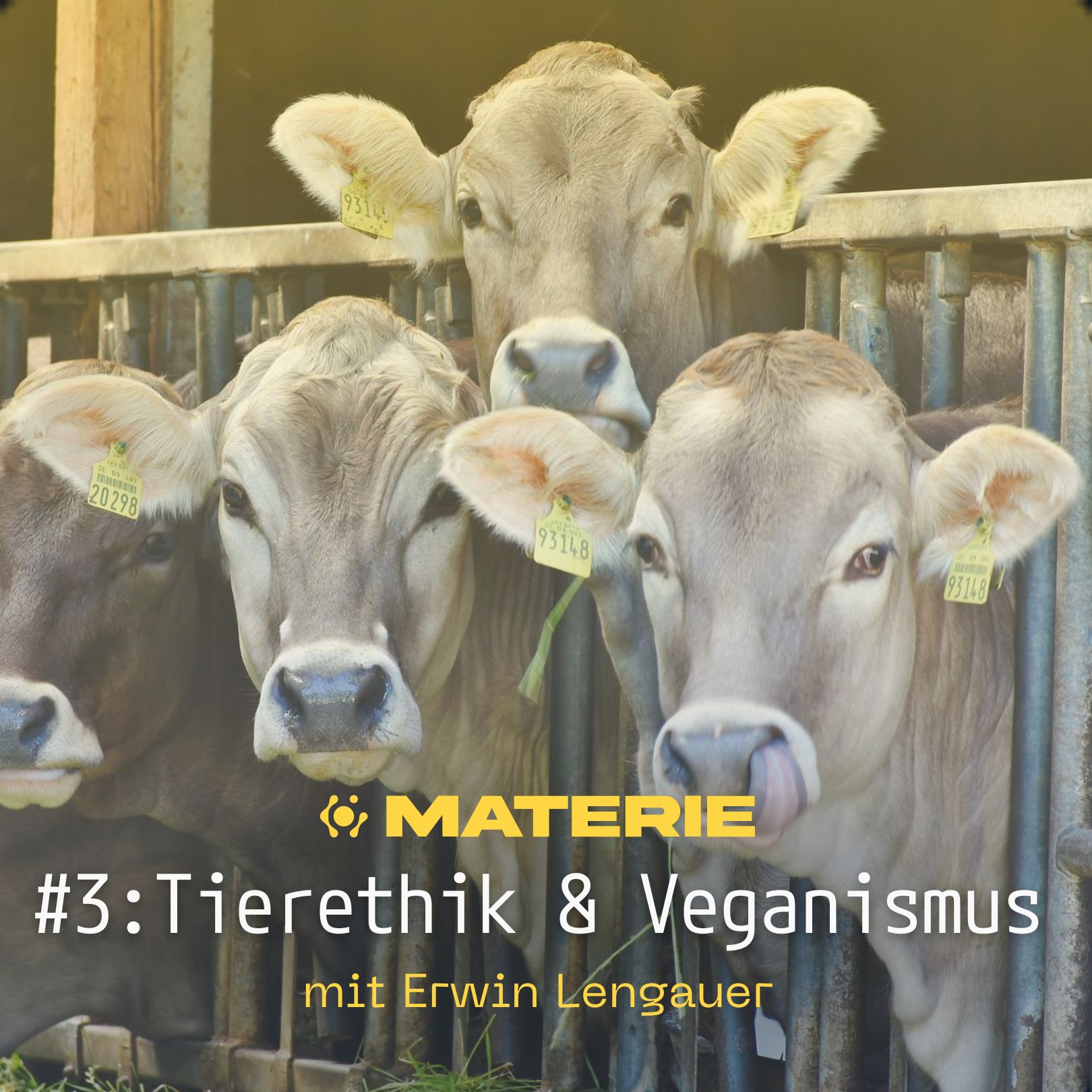 Tierethik & Veganismus - Erwin Lengauer - Materie Podcast