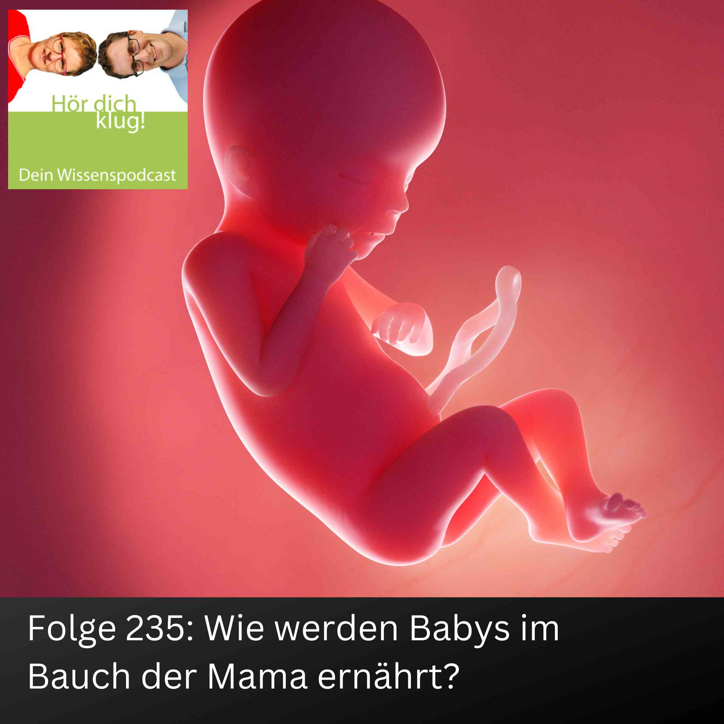 Wie werden Babys im Bauch der Mama ernährt? - Hör dich klug! - Dein ...