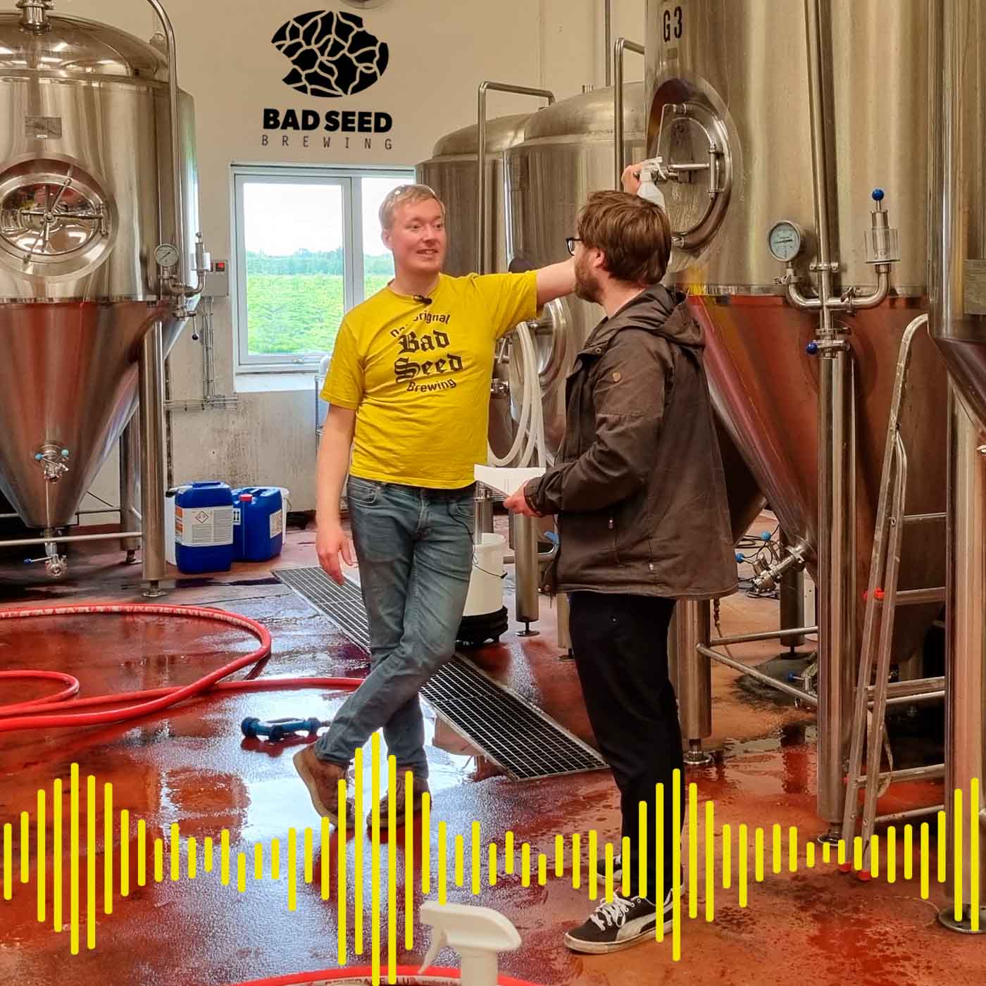 Bad Seed Brewing - Hjertestorm - Podcast