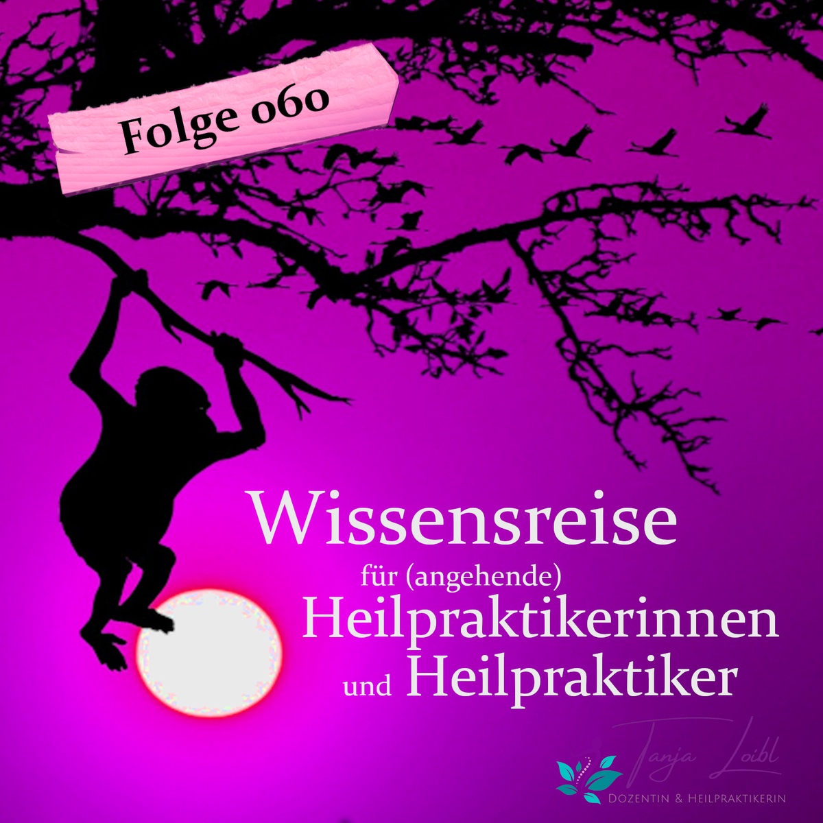 Atmung: Anatomie Lunge und Atemmechanik (Folge 60) - Wissensreise für ...