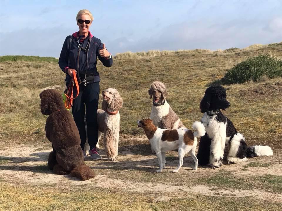 Des Pudels Potpourri. - Neues aus Pudelhausen - Podcast