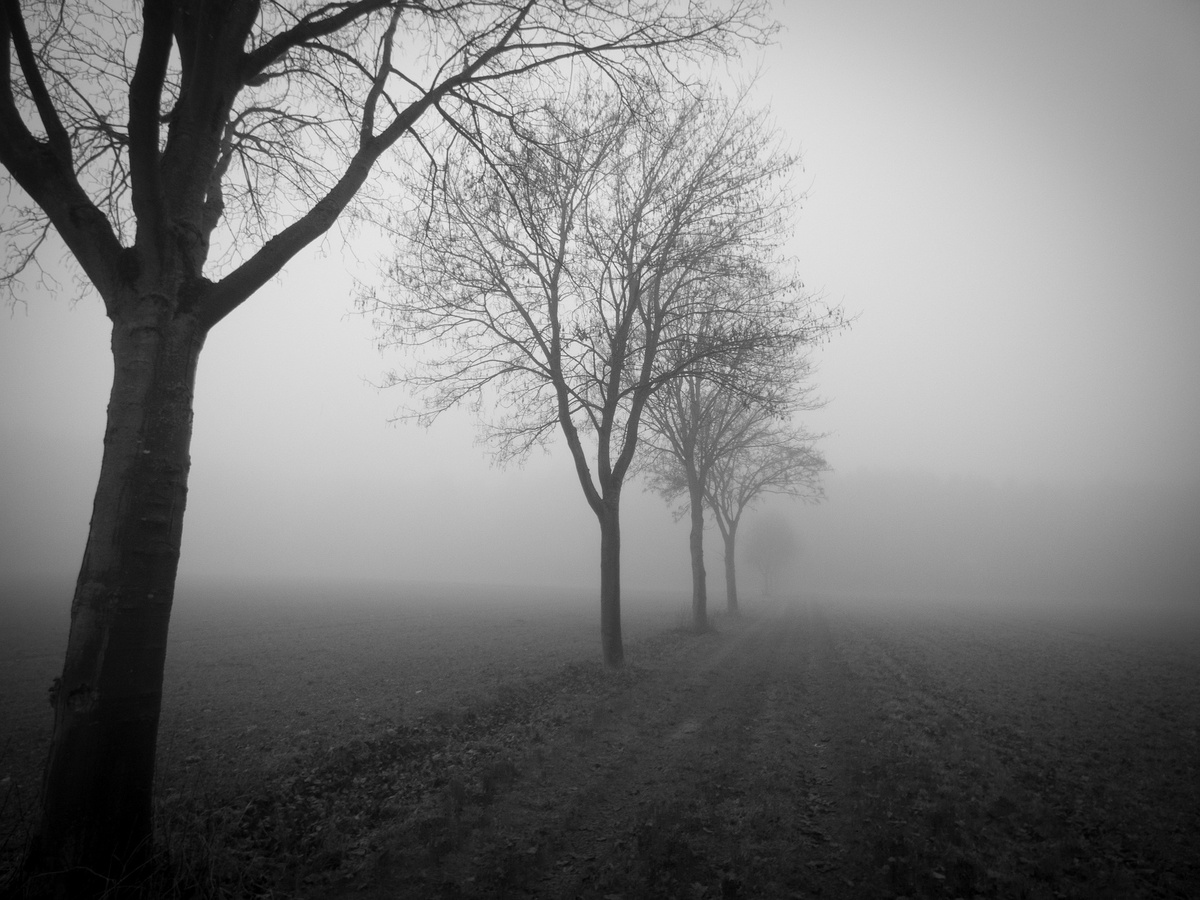Depression - Jung und Freudlos - Podcast
